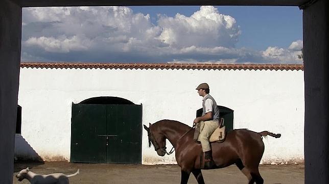 Del campo al paseo de caballos - abcdesevilla.es
